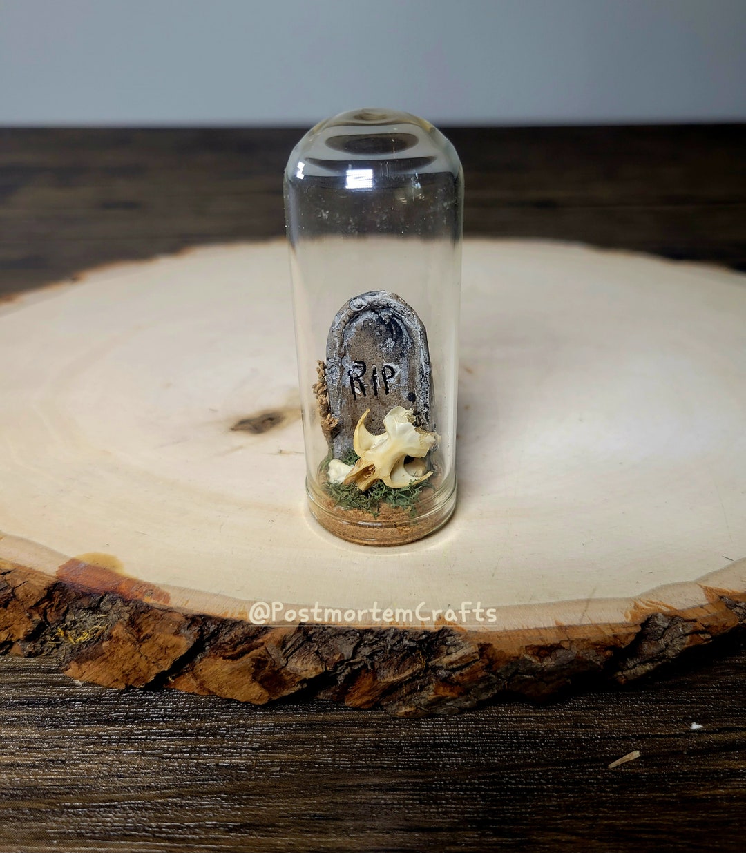 Rat Skull Tombstone Curio 1 - Etsy