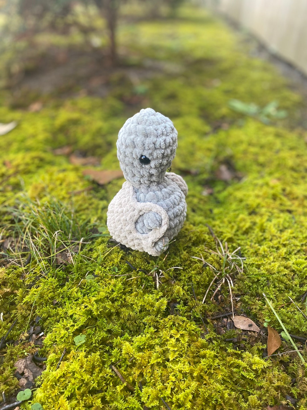 Timothy the Turtle - Etsy