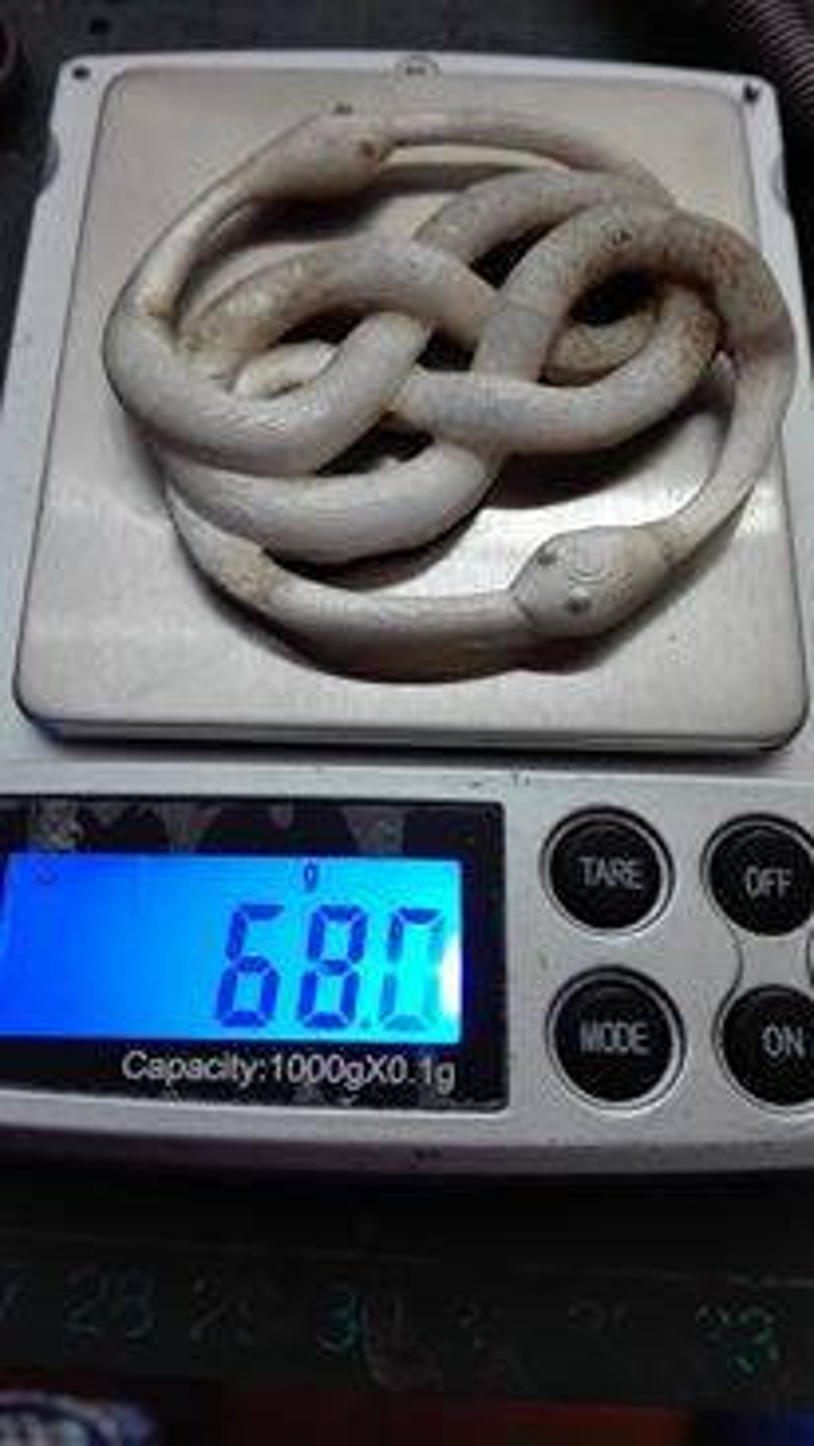 Handmade AURIN XL, Neverending Story, Auryn Film Replica Amulet Atreiu ...