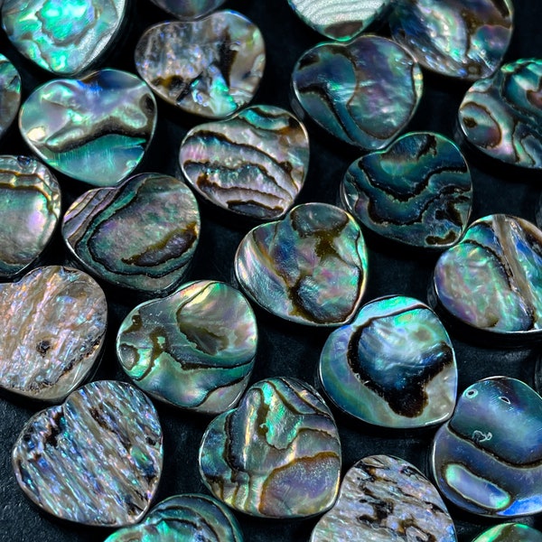 Abalone Shell - Etsy