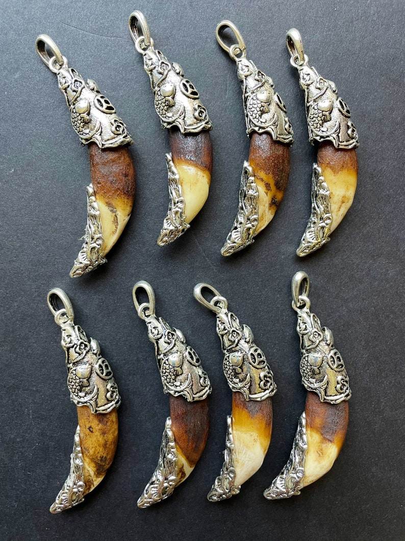 Beautiful Wolf Teeth Pendant. 10x50mm Silver Plated Pendant. Gorgeous ...
