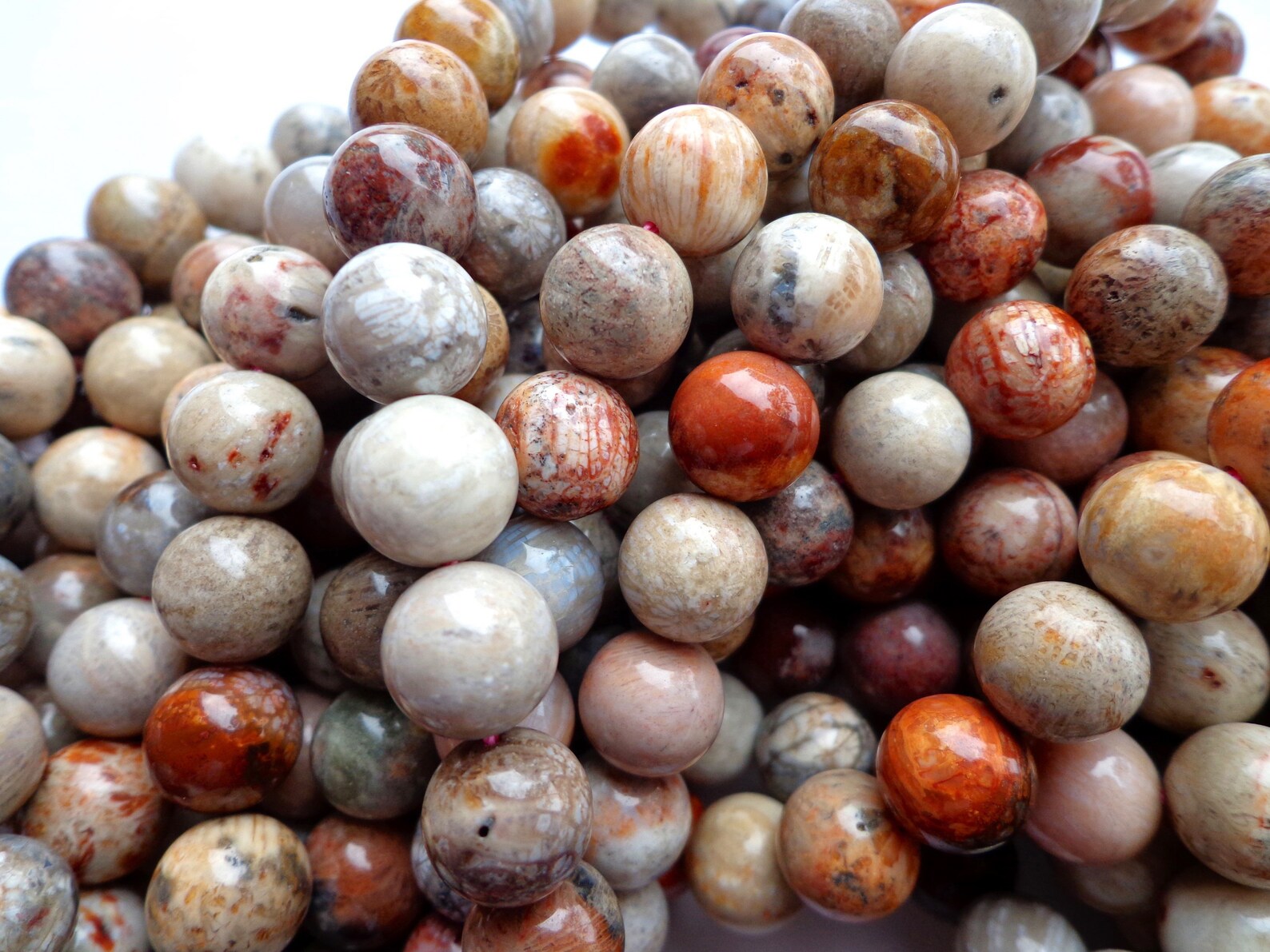 AAA Natural Fossilized Coral Agate Gemstone Beads 6mm8mm10mm - Etsy