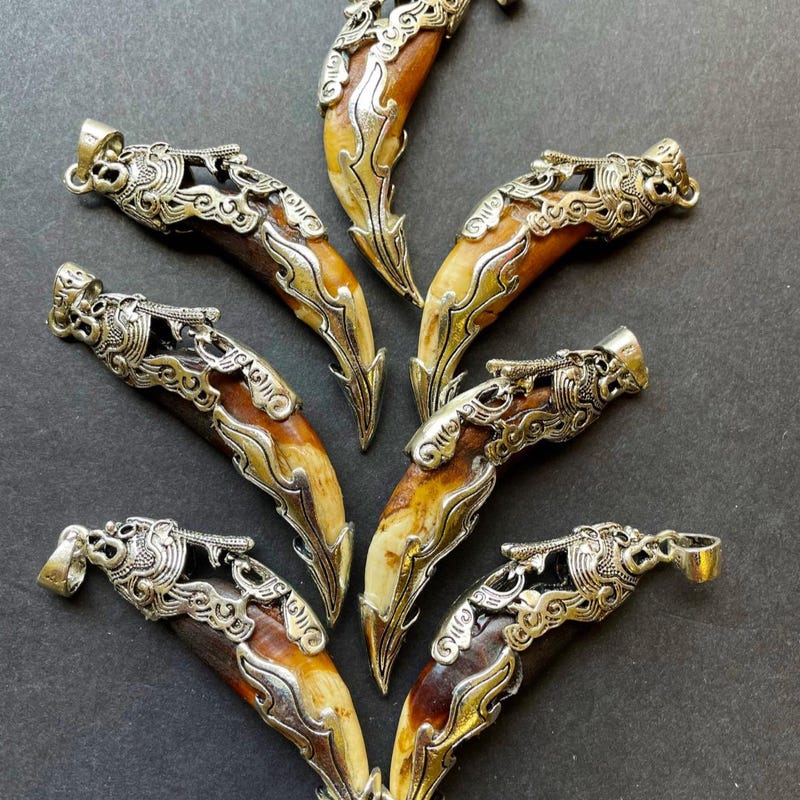 Wolf Tooth, Claw - Etsy