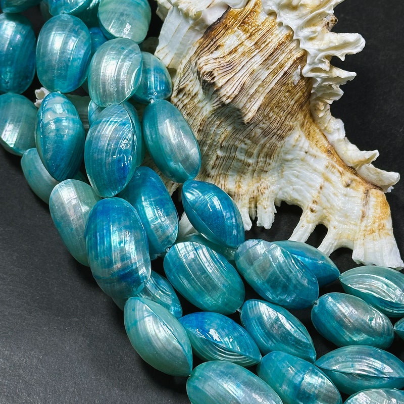 Sea Shells Beads - Etsy