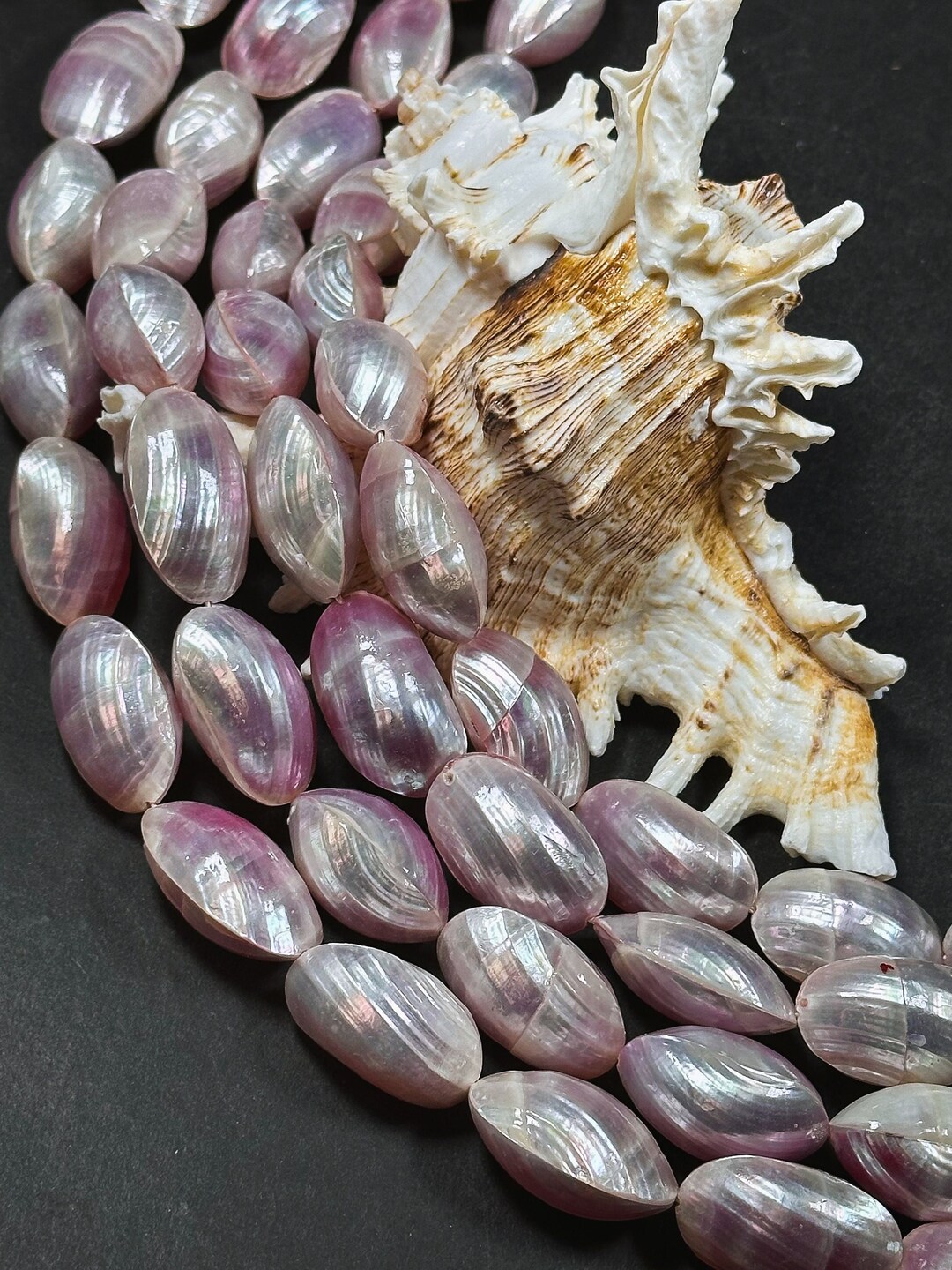 Natural Pink Sea Shell Beads, Natural Sea Shell Oval Shape Beads ...
