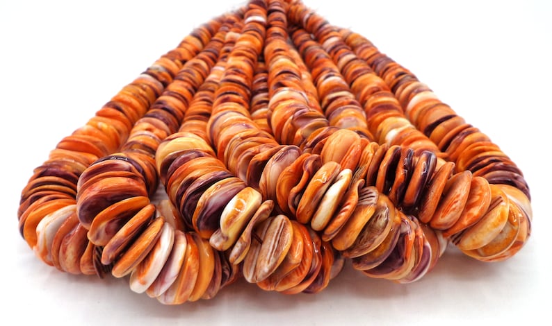 NATURAL Spiny Oyster Shell, Graduated Gorgeous Orange Color. Full ...