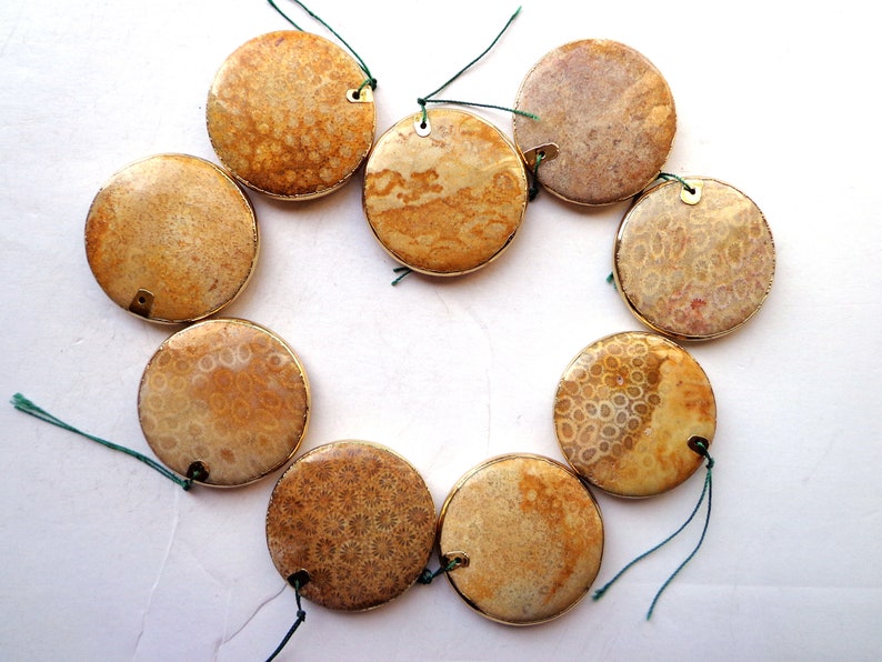 AAA Natural Fossilized Coral Agate Gemstone Beads Pendant - Etsy