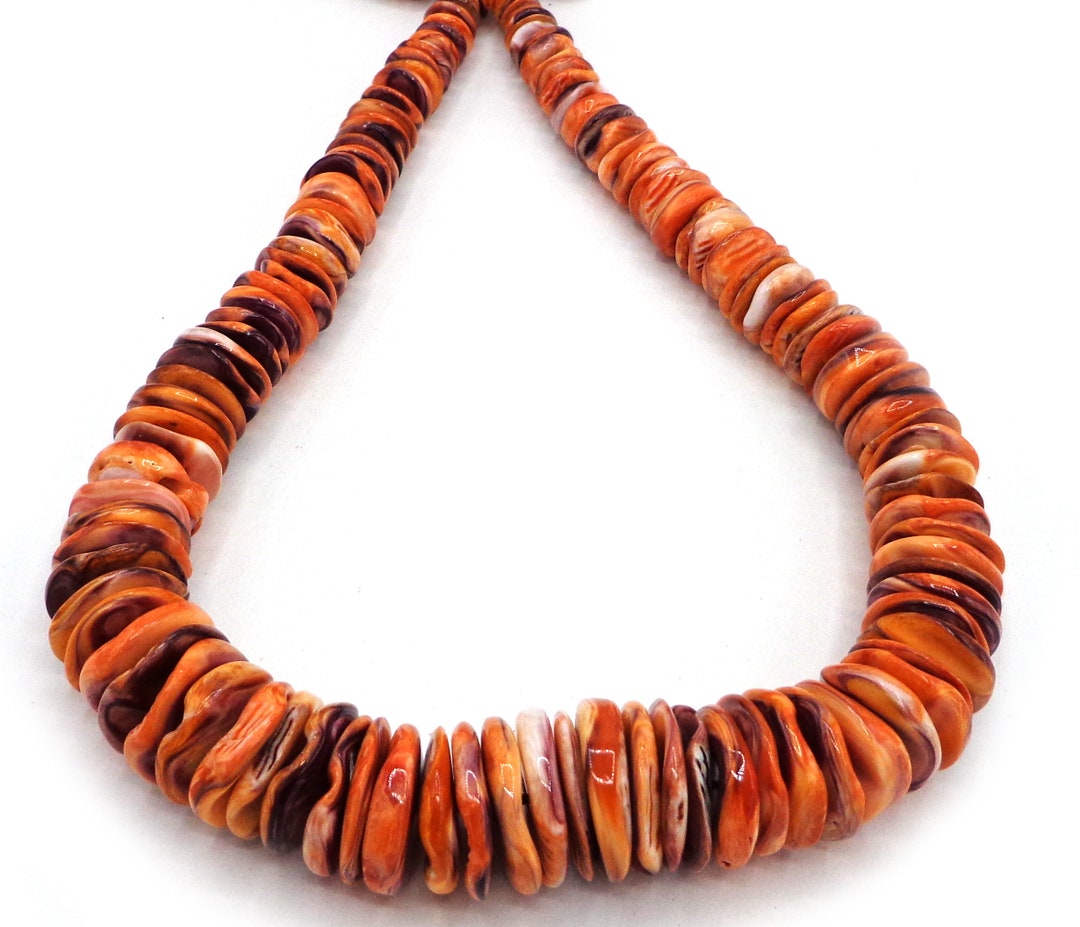 NATURAL Spiny Oyster Shell, Graduated Gorgeous Orange Color. Full ...