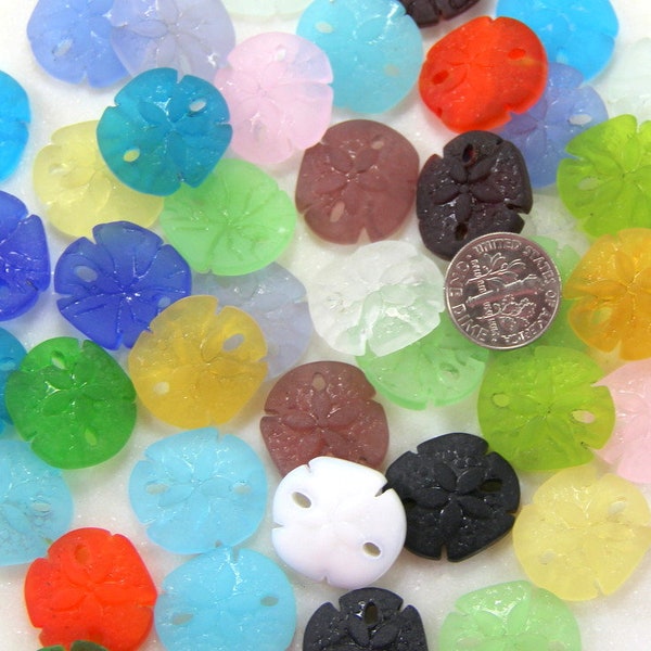 Small Sand Dollar - Etsy