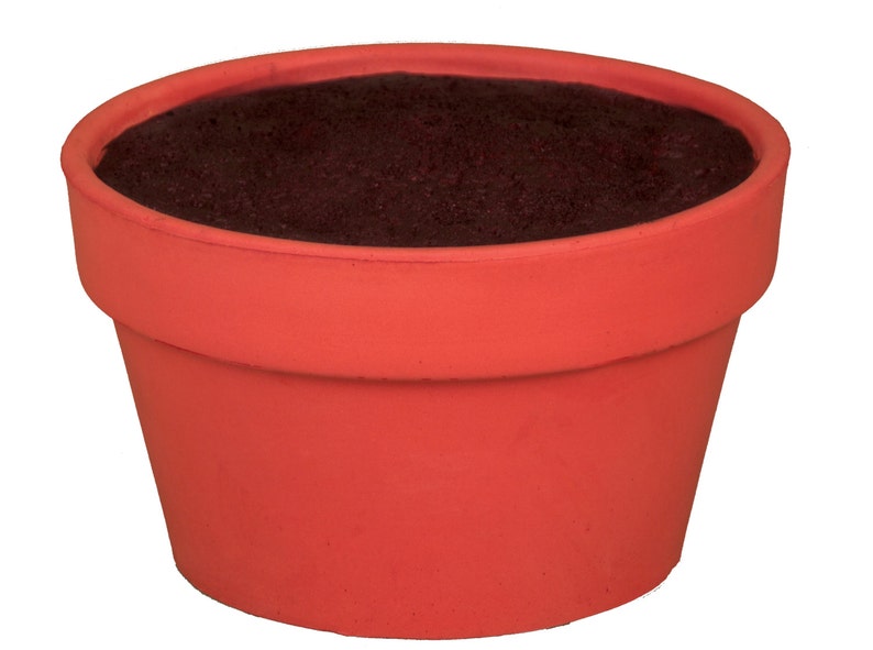 420 Costume Hat Pot Head Hat Combo With Fake Marijuana Plant - Etsy