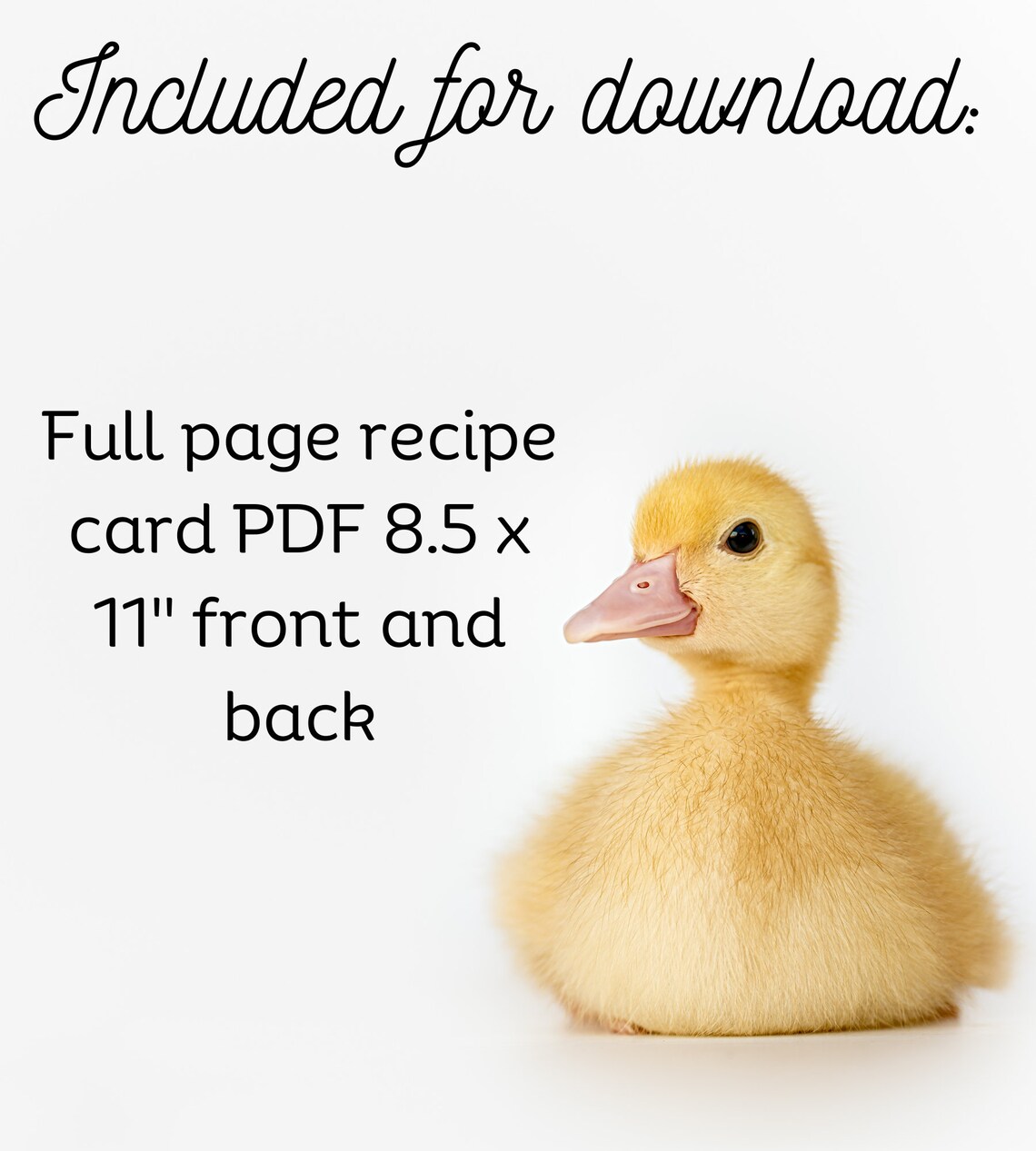 Pumpkin Pie Recipe Printable Cookbook Recipe Template 4x6 Recipe Card ...