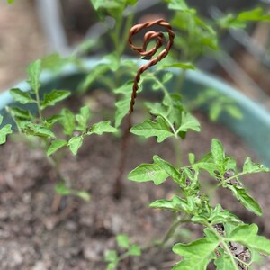 Copper Wand for Garden, Electro- Culture - Etsy