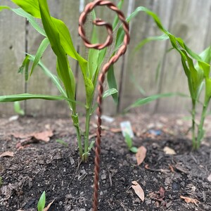 Copper Wand for Garden, Electro- Culture - Etsy