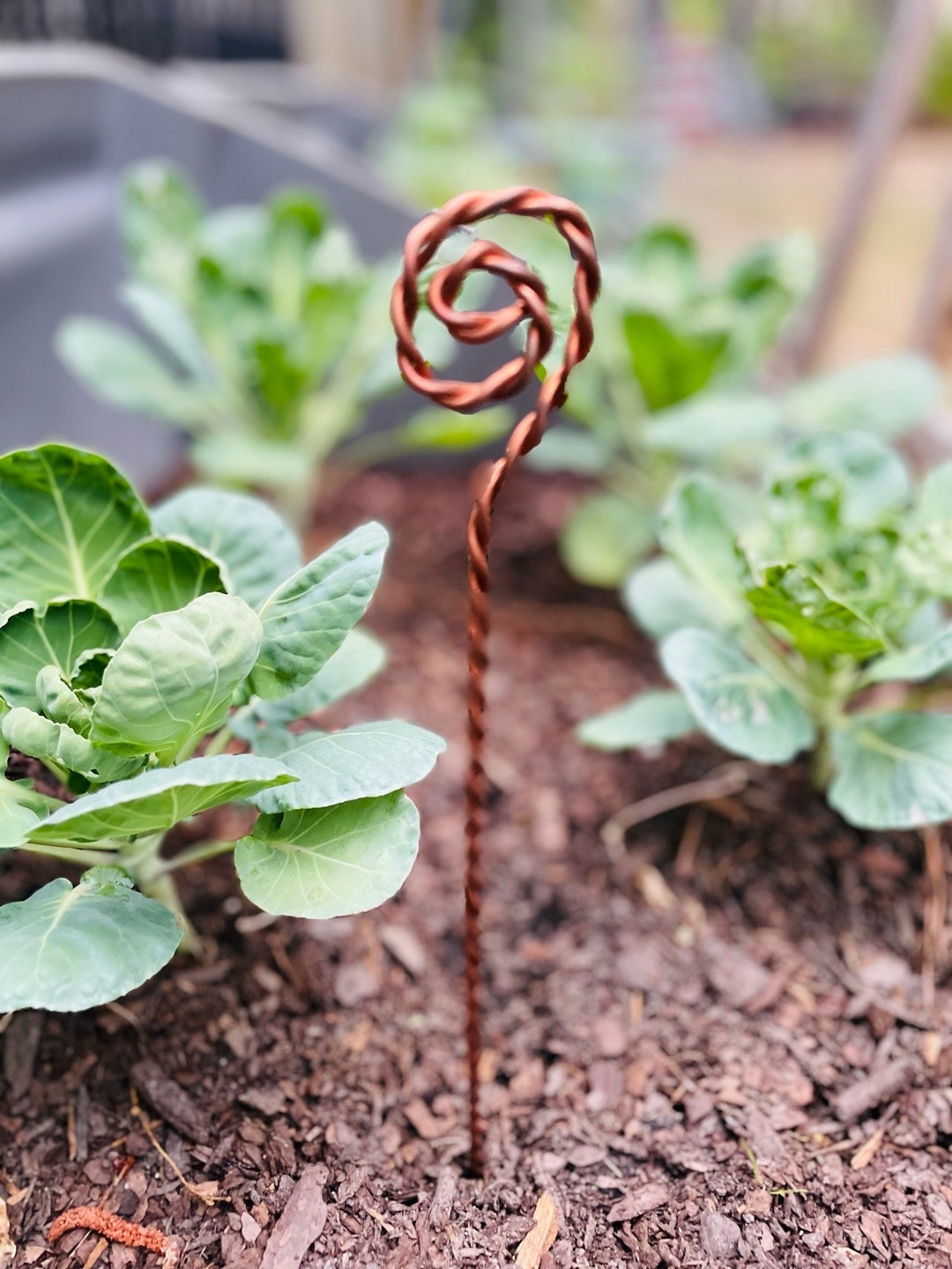 Copper Wand for Garden, Electro- Culture - Etsy