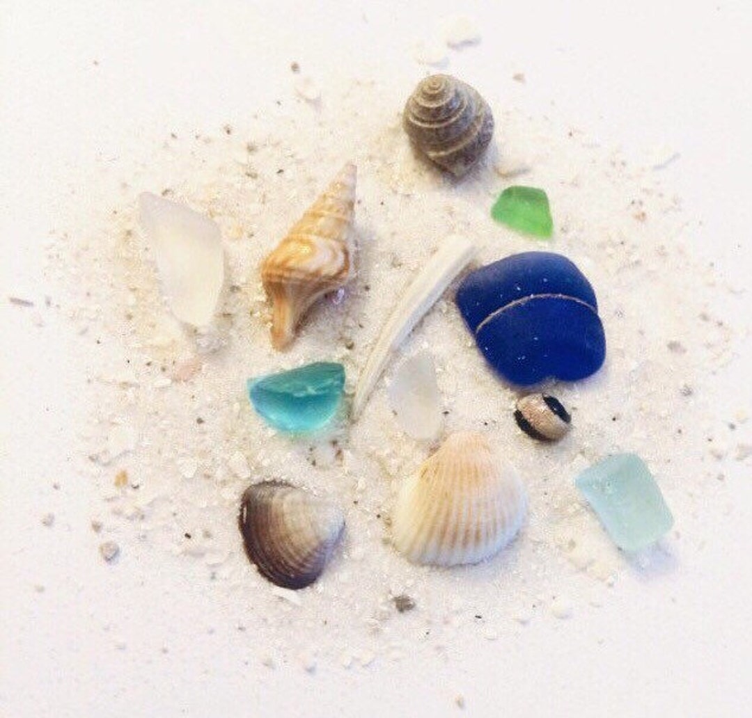 Beach in a Bottle: Florida Seashells & Sea Glass - Mini Beach Gift - Etsy