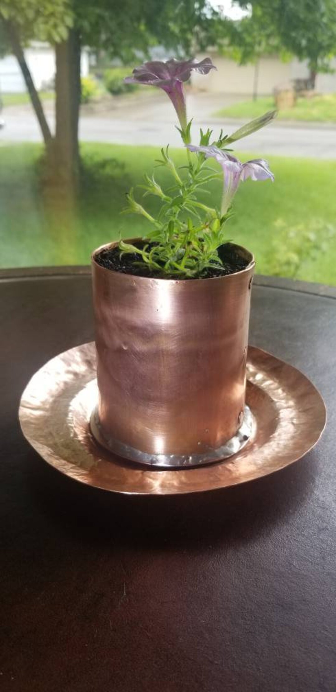 Copper Plant Sauce and Pot. Handmade Solid Copper. Beautiful for Potted ...