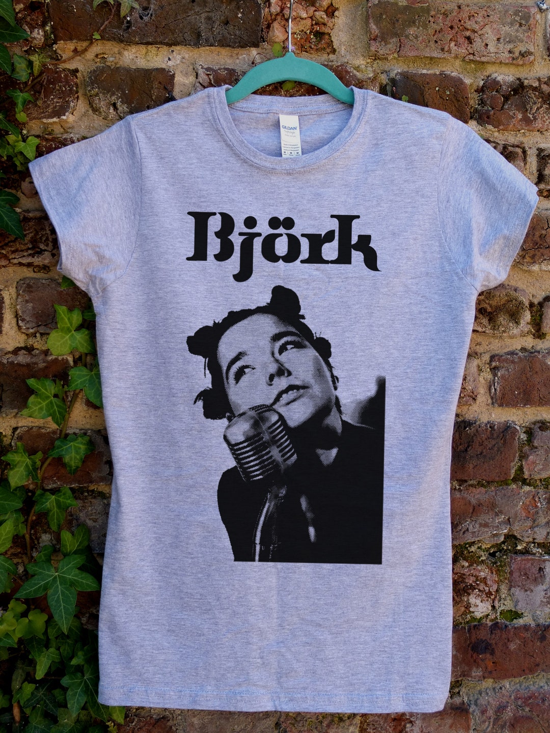 Bjork, Björk, Debut, Fossora, Alternative Musicscreen, Screen Printed ...