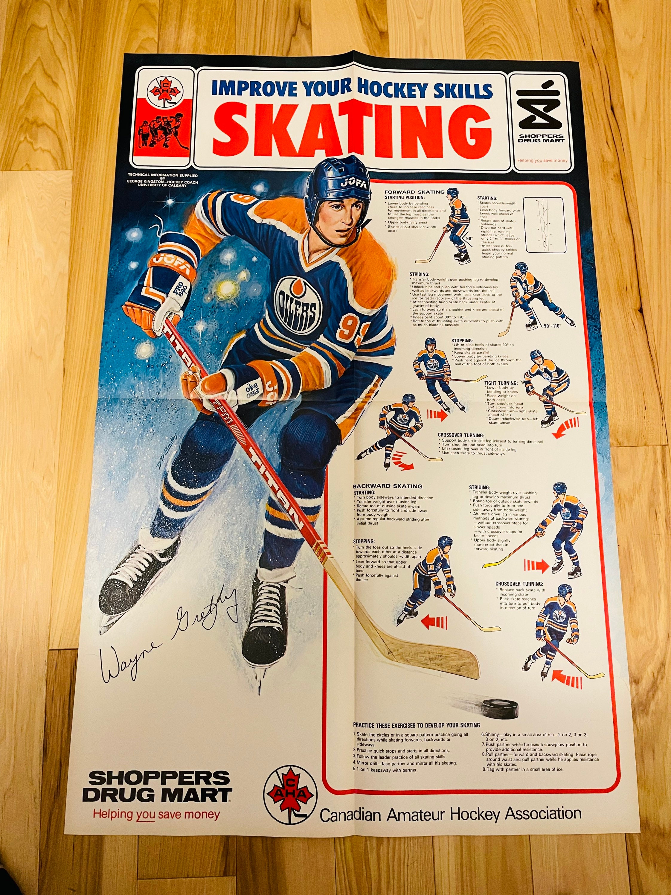 Wayne Gretzky Hockey Rare Gaming Skills Large Poster 1981, 24x36 Size ...