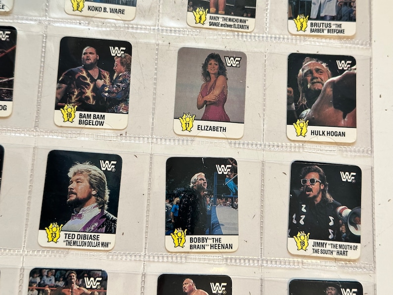WWF Wrestling Hostess Chips Rare Vintage Mini Cards Set 1987 - Etsy
