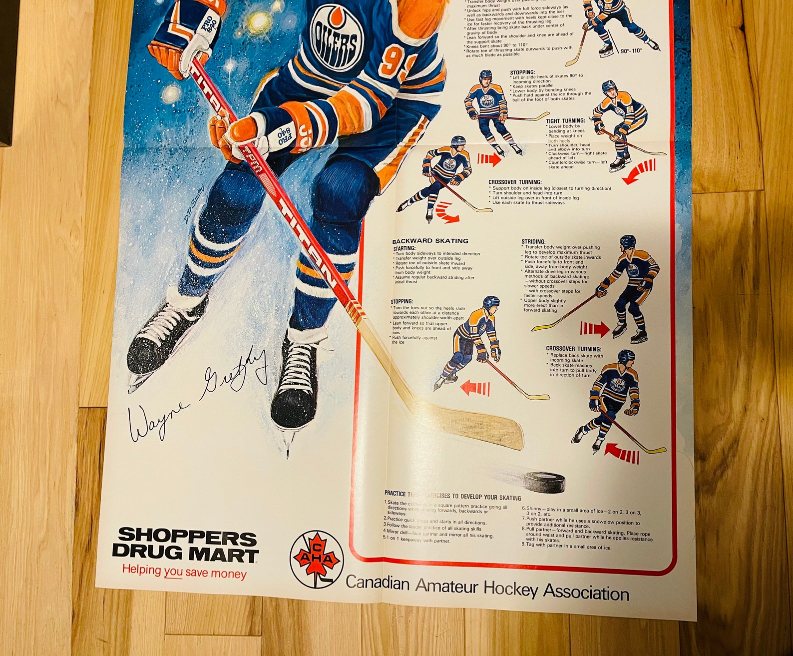 Wayne Gretzky Hockey Rare Gaming Skills Large Poster 1981, 24x36 Size ...