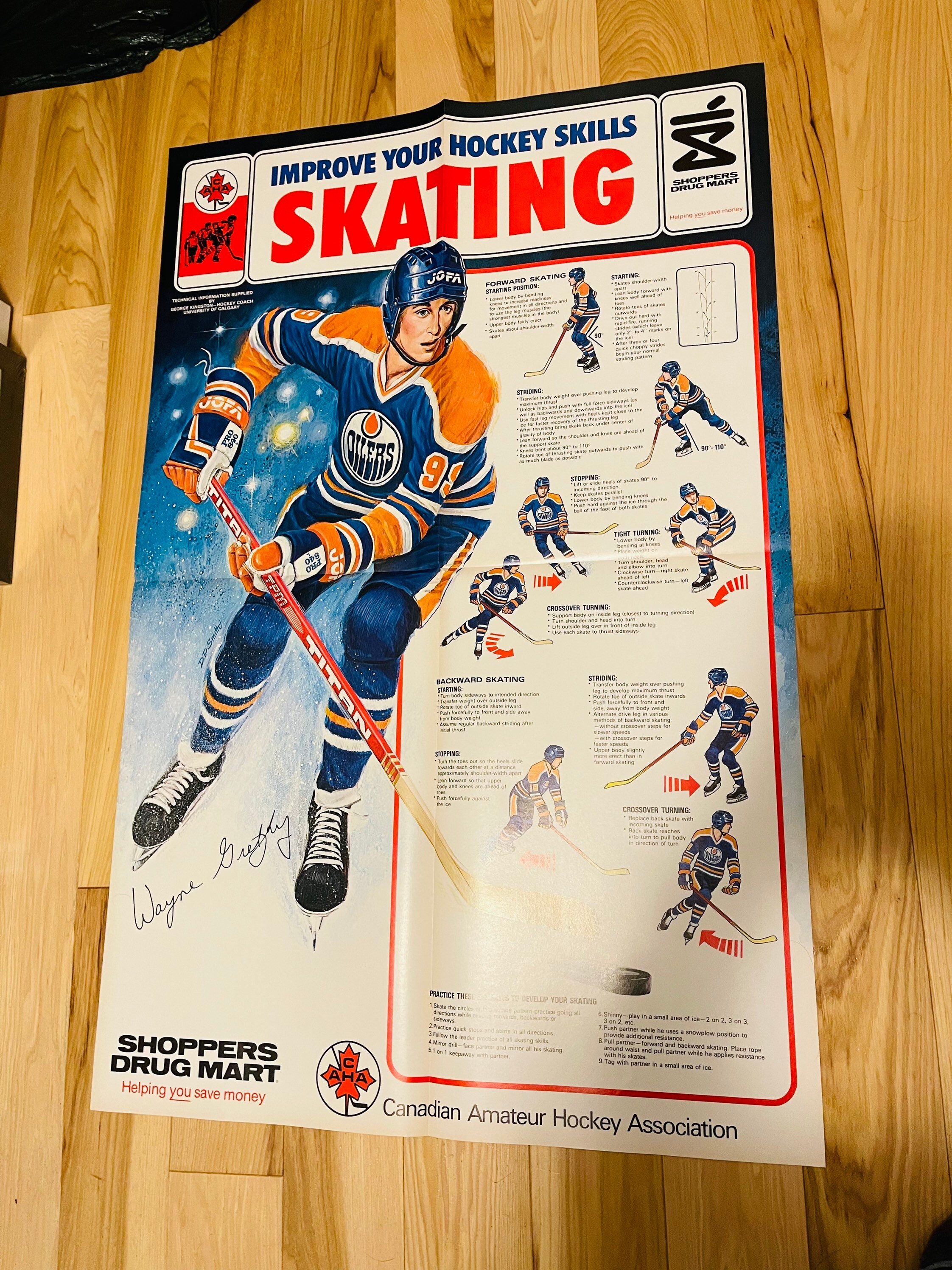 Wayne Gretzky Hockey Rare Gaming Skills Large Poster 1981, 24x36 Size ...