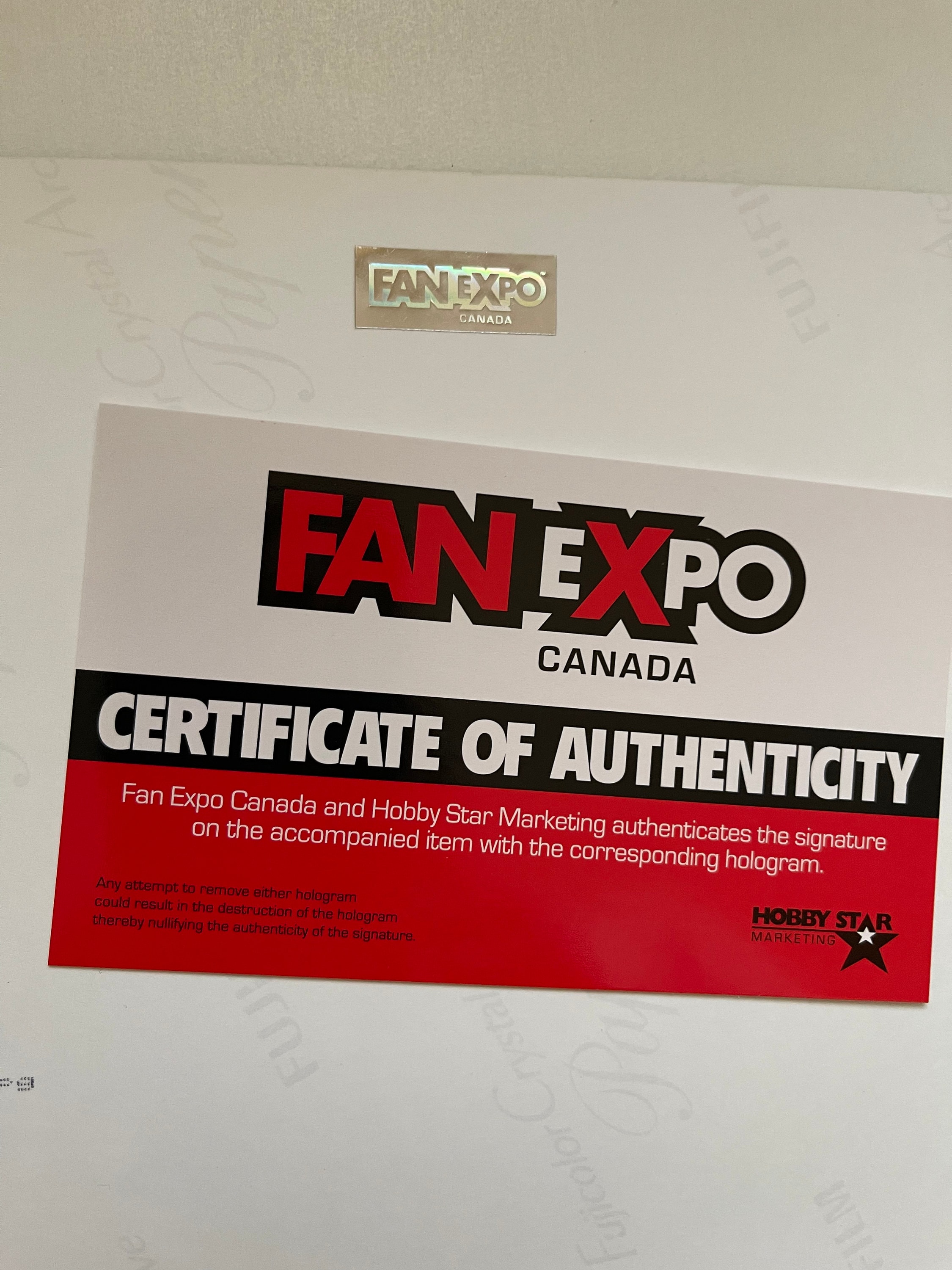 Stan Lee Autograph Amazing Fantasy 15 Spider-man Glossy Photo - Etsy