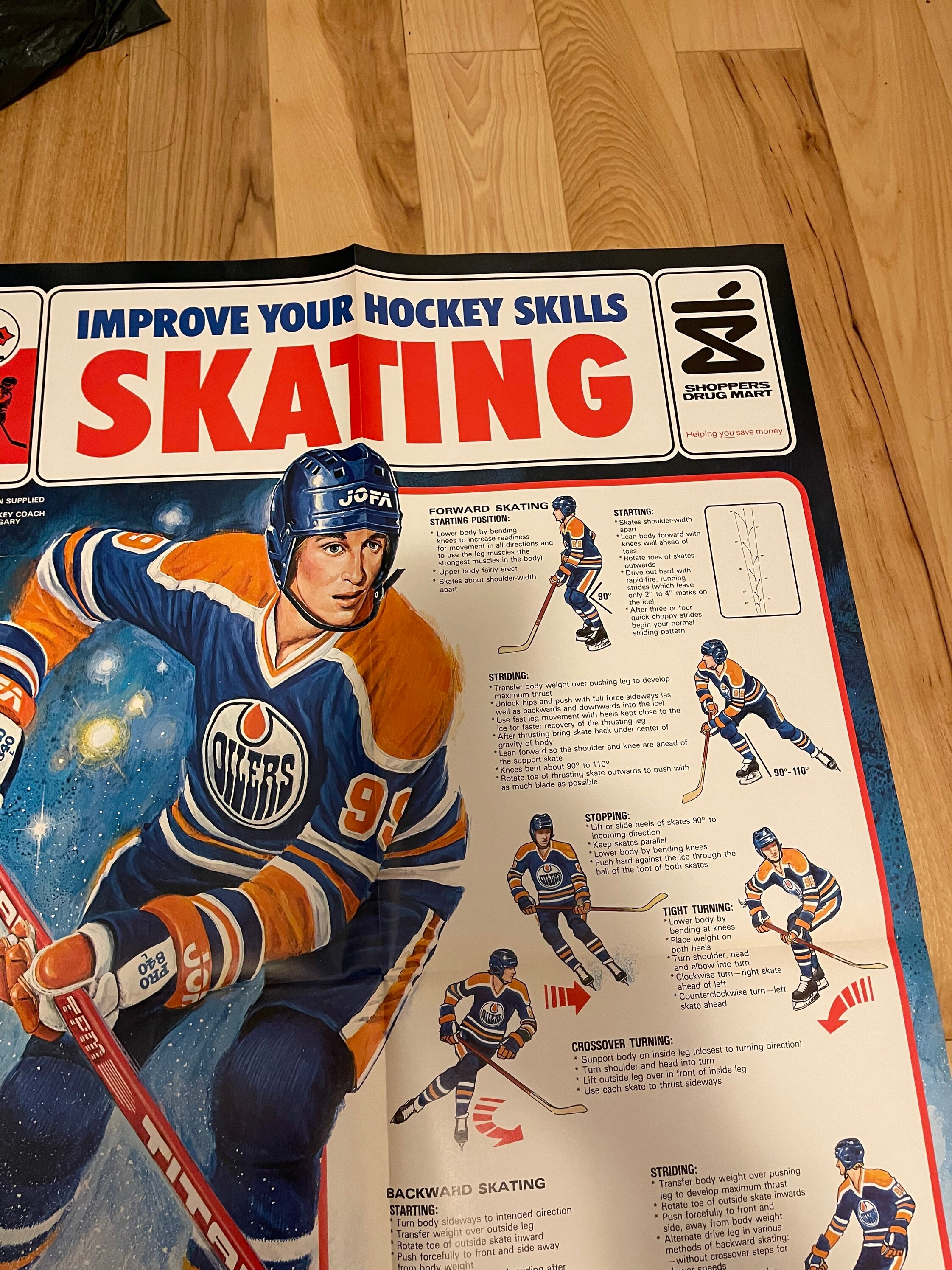 Wayne Gretzky Hockey Rare Gaming Skills Large Poster 1981, 24x36 Size ...