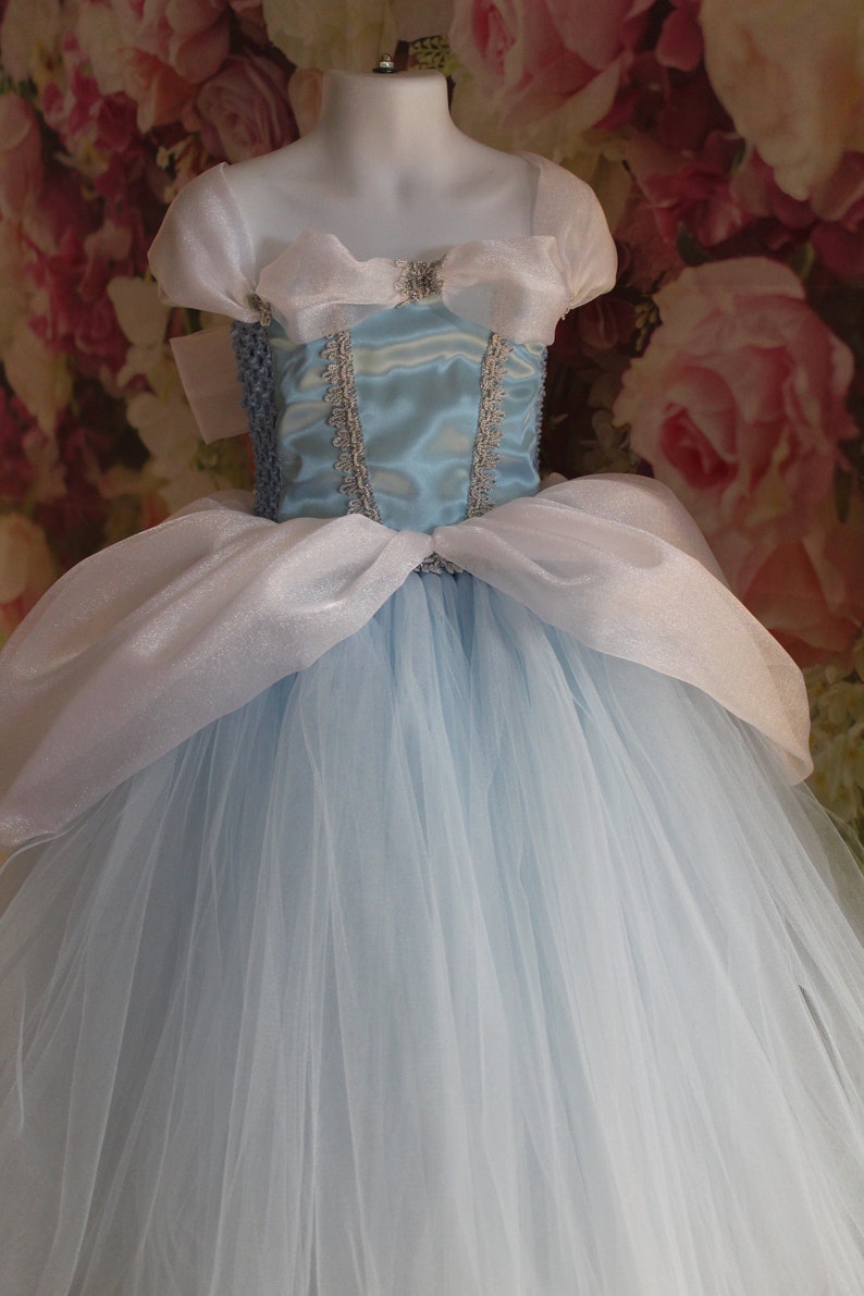 Cinderella Inspired Tutu Dress Cinderella Party Dress | Etsy