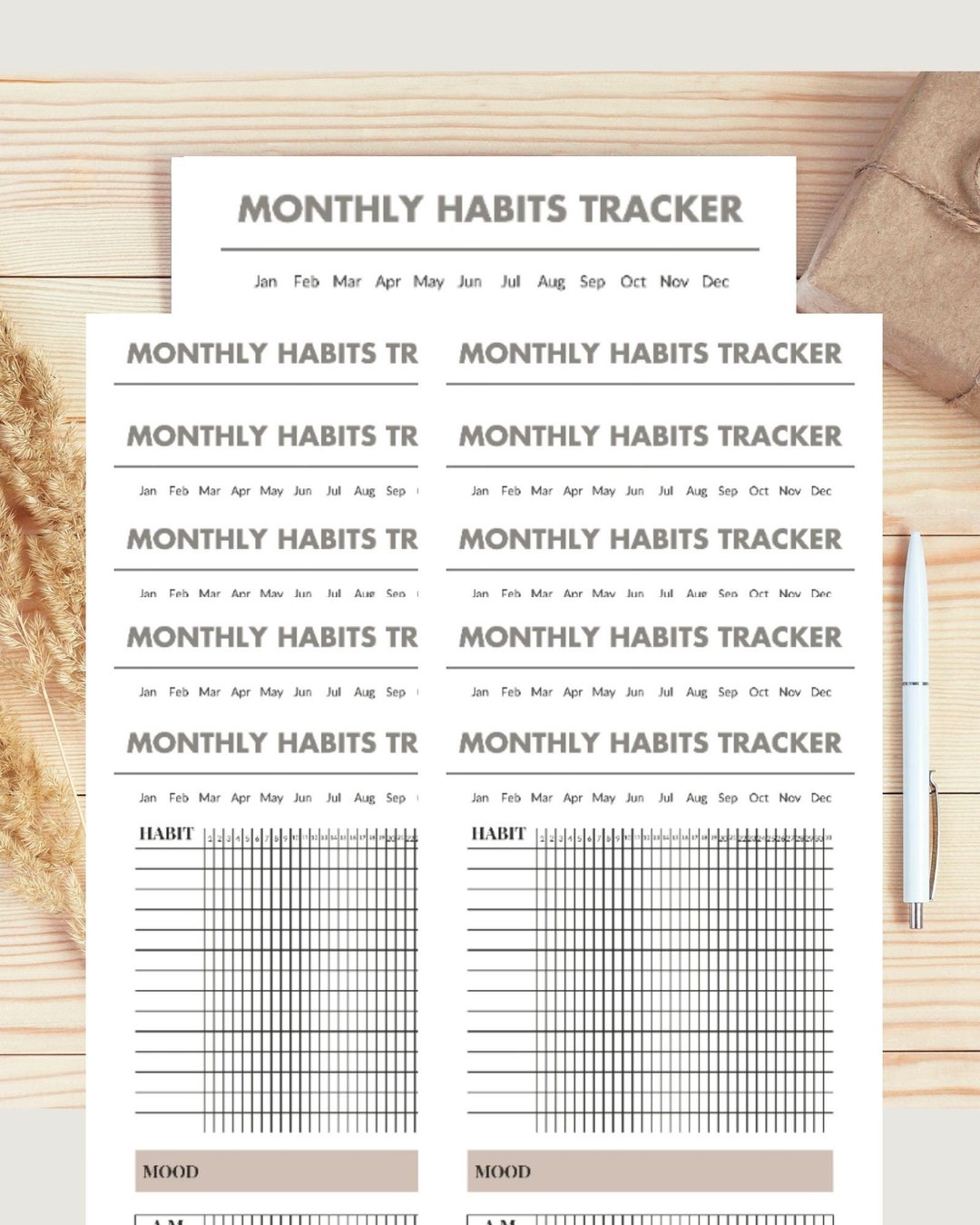 12 Month Habit & Mood Tracker|therapy Worksheets|counseling Resources ...