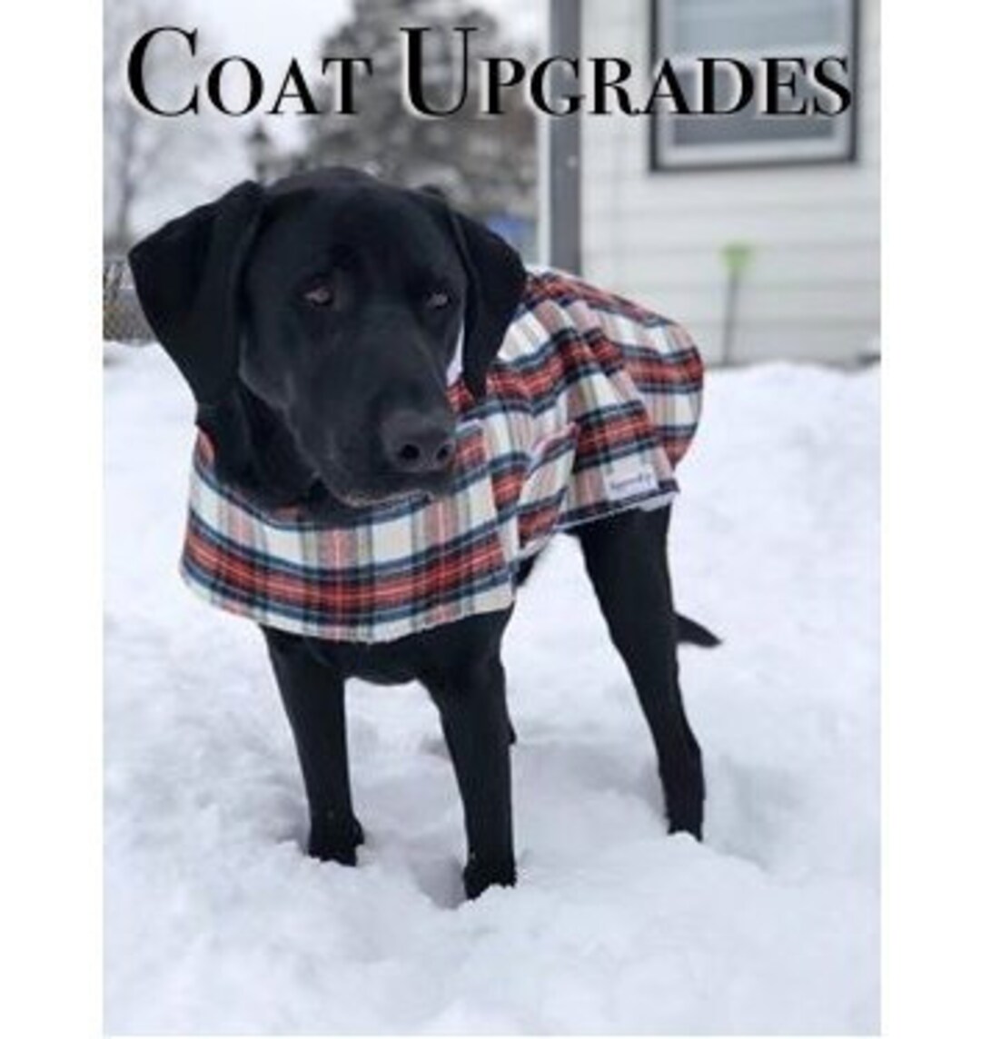 UPGRADES for Custom Dog Coats - Etsy