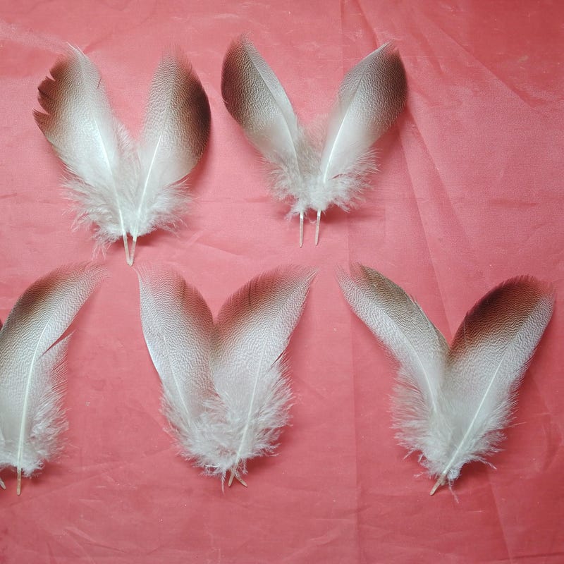 CraftingWithFeathers - Etsy