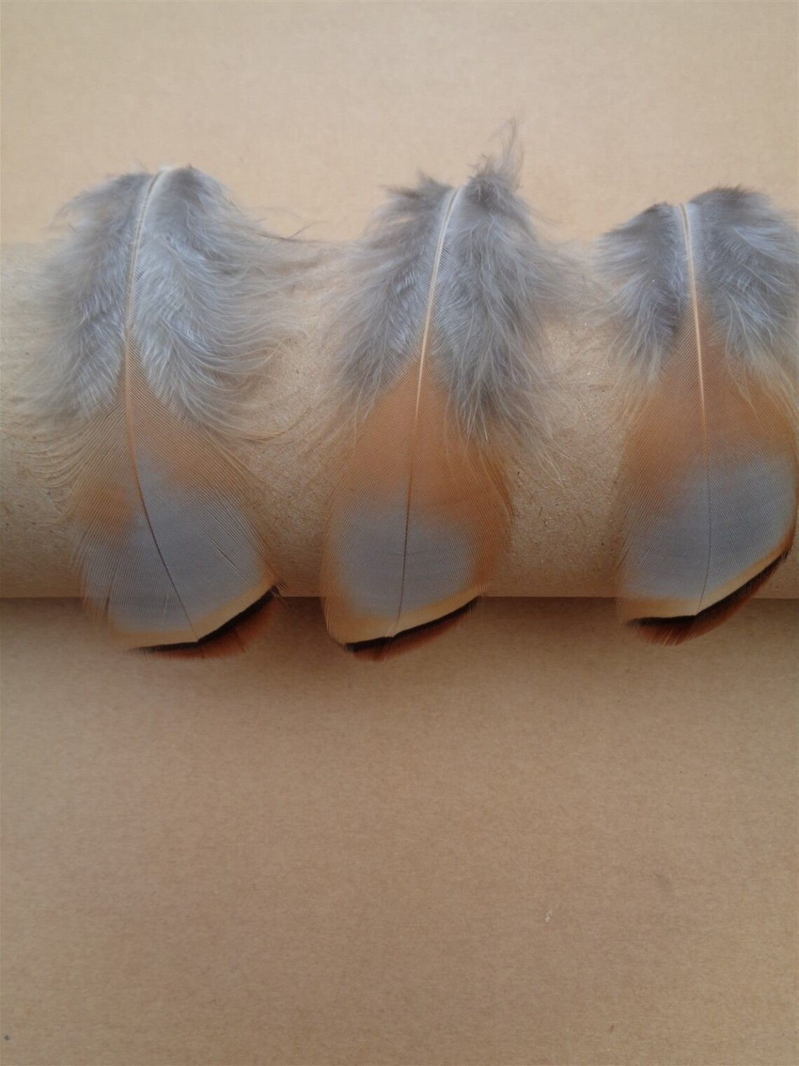 100 French Partridge Flank Feathers 1.5 3 / 4cm - Etsy UK