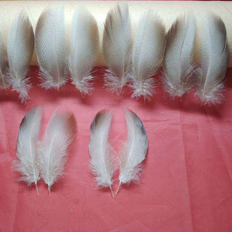 CraftingWithFeathers - Etsy