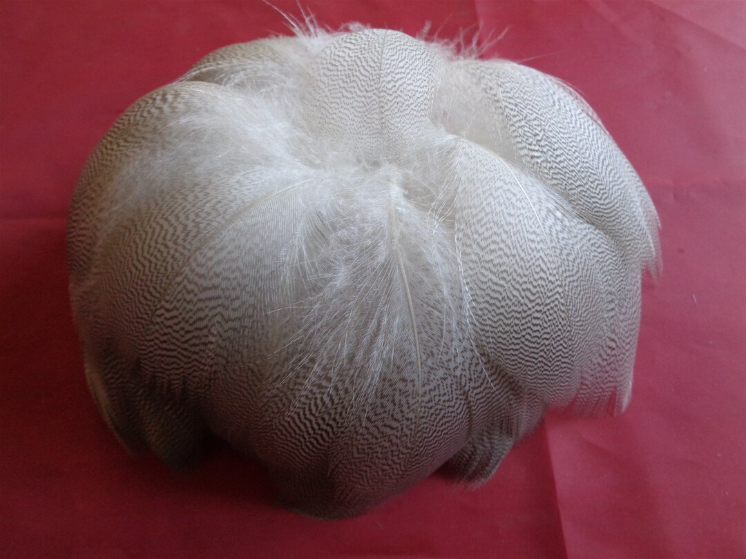 100 Mallard Duck Flank Feathers 2" - 4"/ 5 - 10cm - Etsy