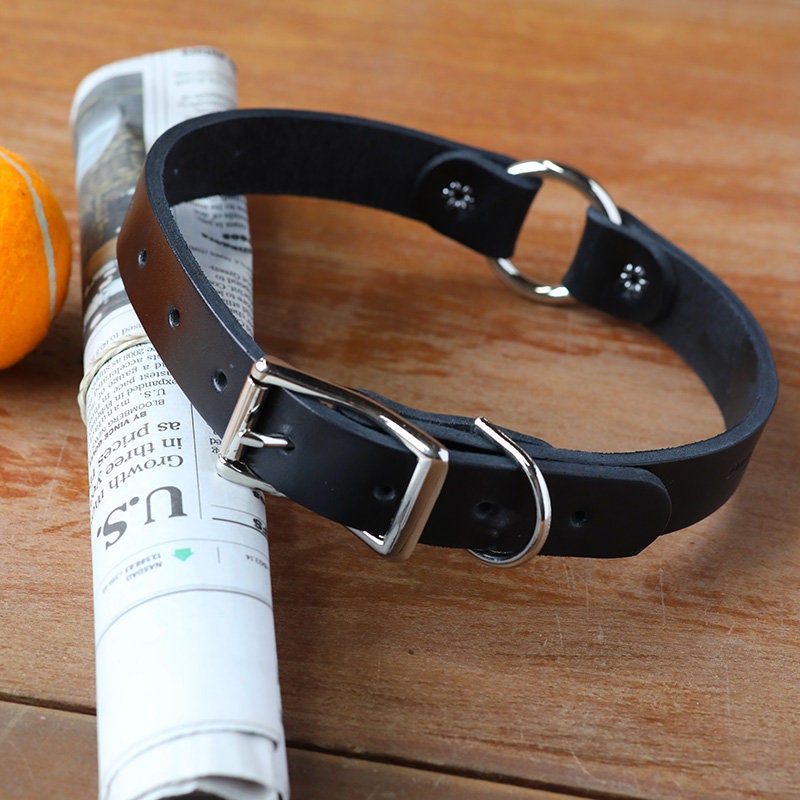 Large Dog Collar - Etsy