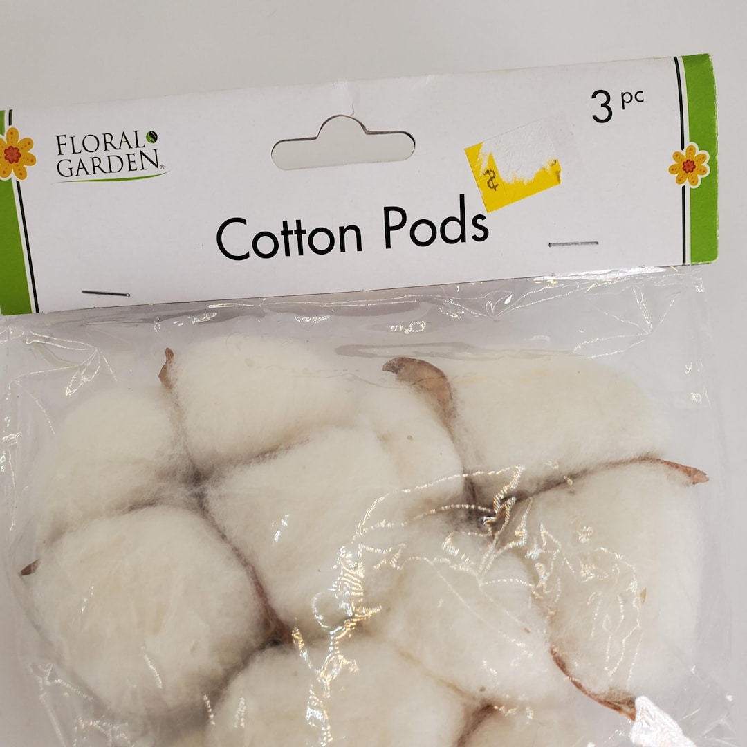 Floral Supply, Cotton Pods, New Old Stock - Etsy