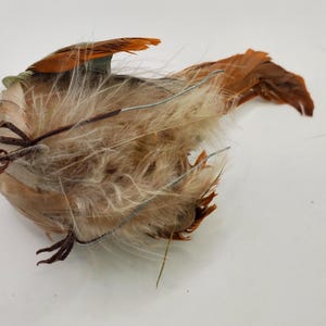 Styrofoam Bird With Feathers, Craft Supply - Etsy