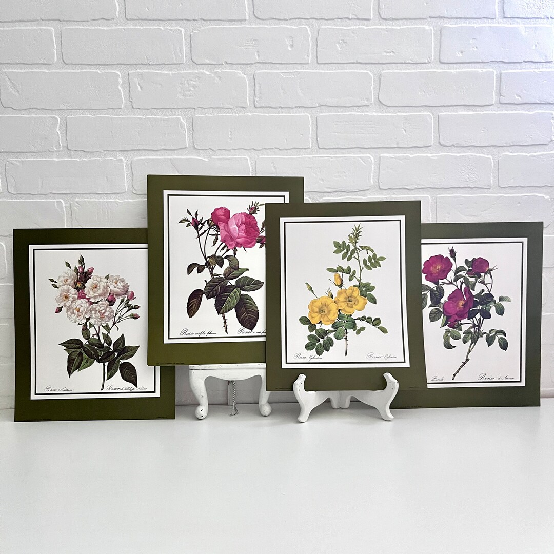 Vintage Rose Prints, Set of Floral Prints, Wall Decor, Botanical Flower ...