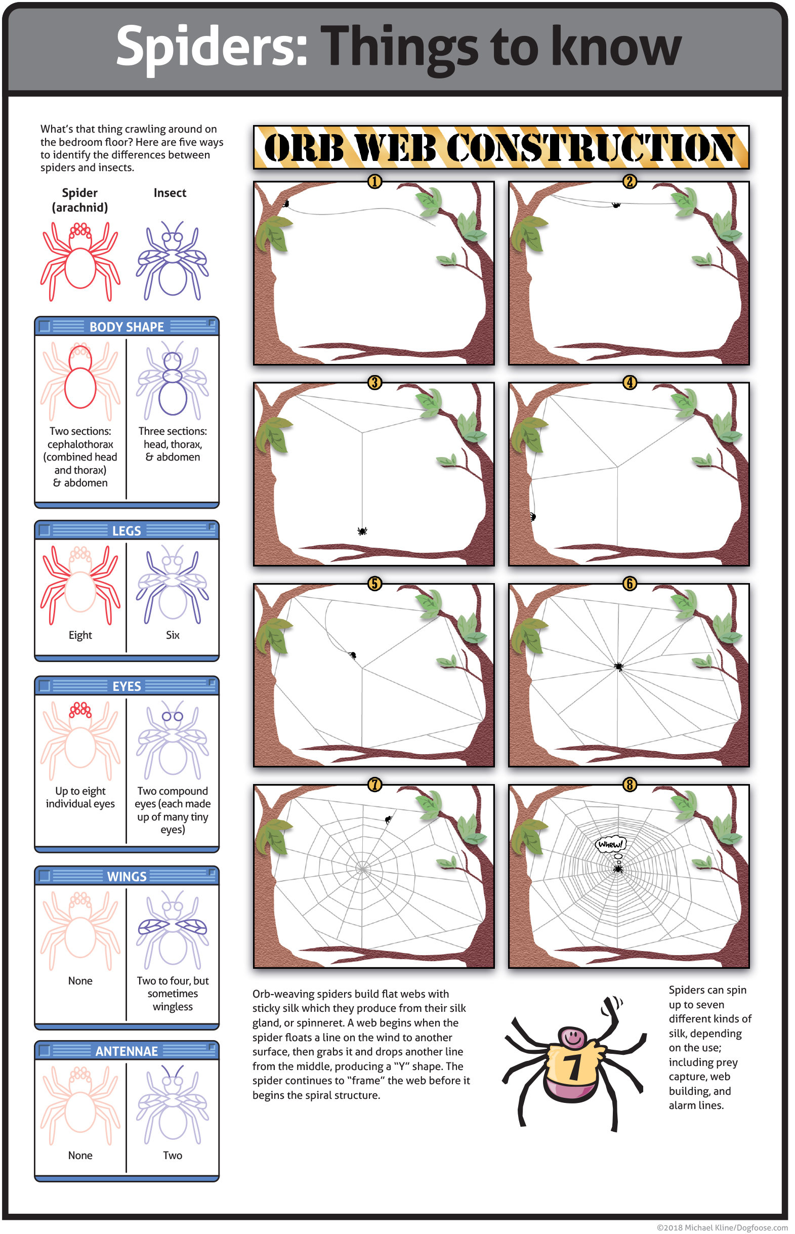 Spiders: Things to Know / Classroom Poster .pdf File - Etsy