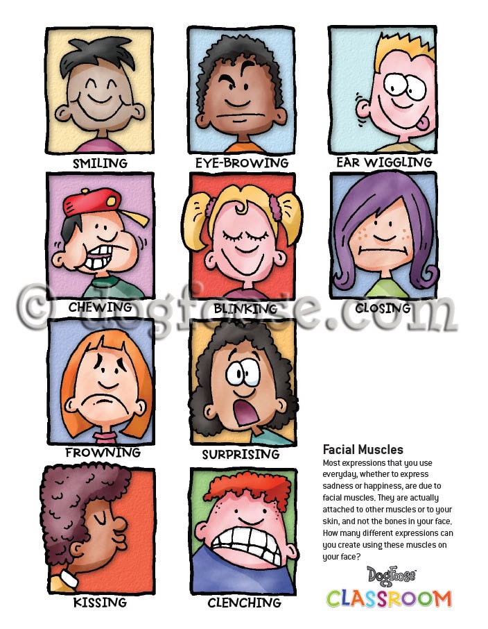 Facial Expressions Full Color, .pdf File - Etsy