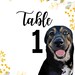 Wedding Table Numbers Printable Table Numbers With Custom Pet | Etsy