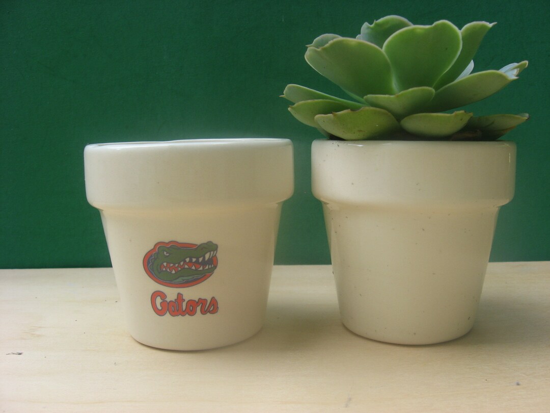 Pair of Florida Gator 3 Inch Ceramic Planters for Seed Starters ...