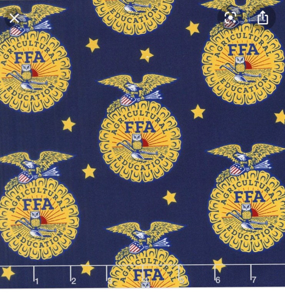 FFA Agricultural Education Theme Masks | Etsy