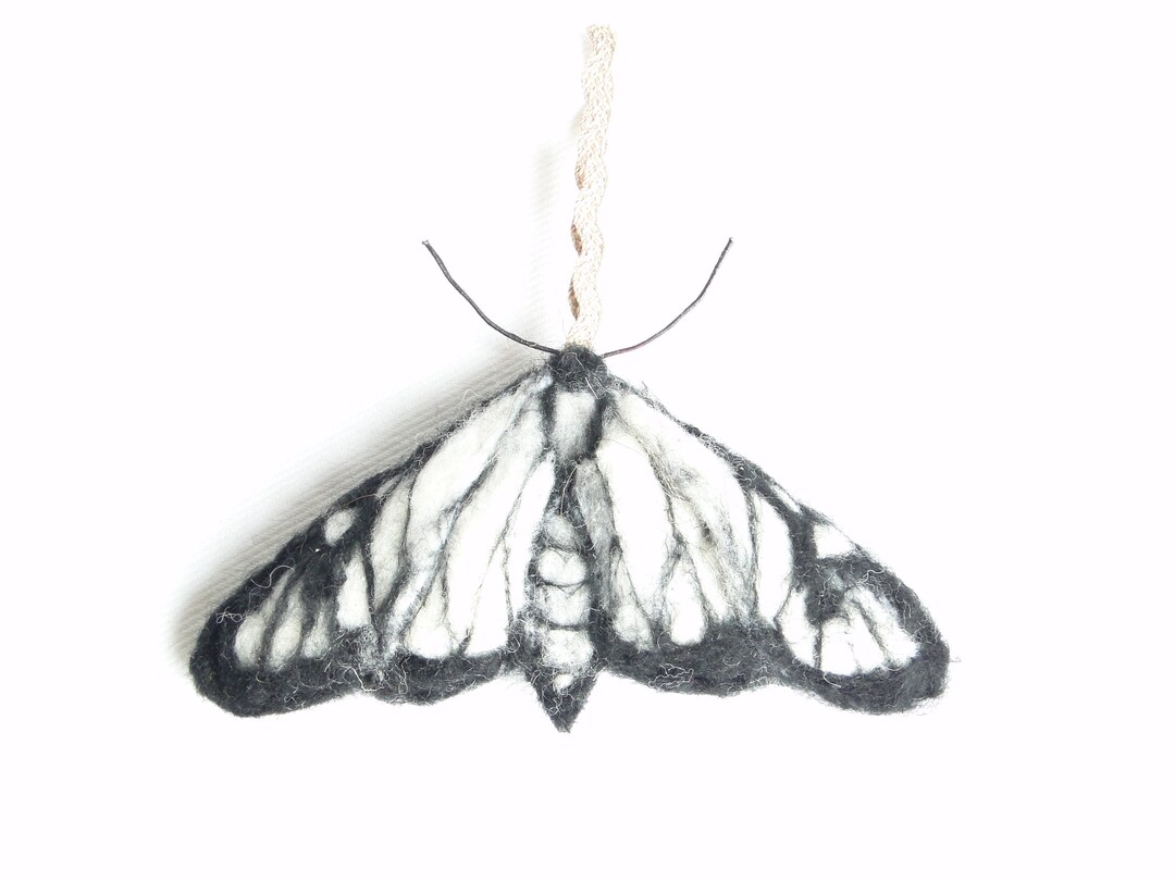 Needle Felted Box Tree Moth - Moths - Moth Decoration - Faux Taxidermy ...