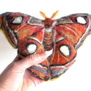 Atlas Moth, Life Size, Needled Felted Moth Decoration - Etsy