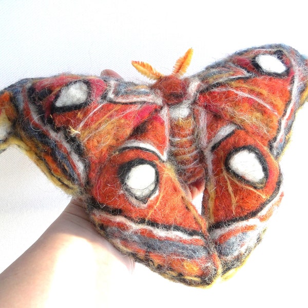 Felt Moth - Etsy