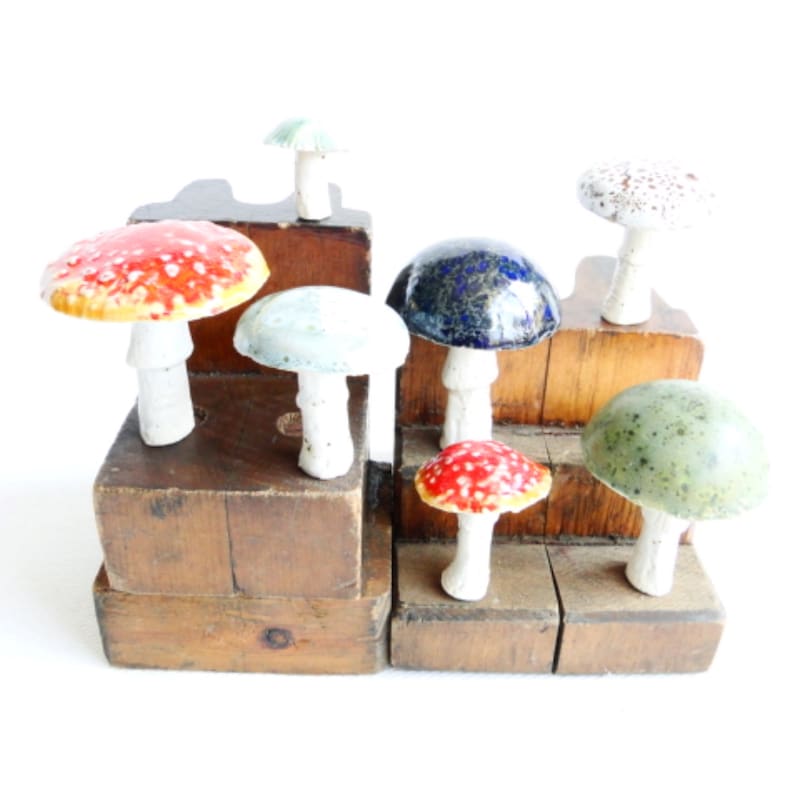 Toadstool Ceramic Pot - Etsy UK