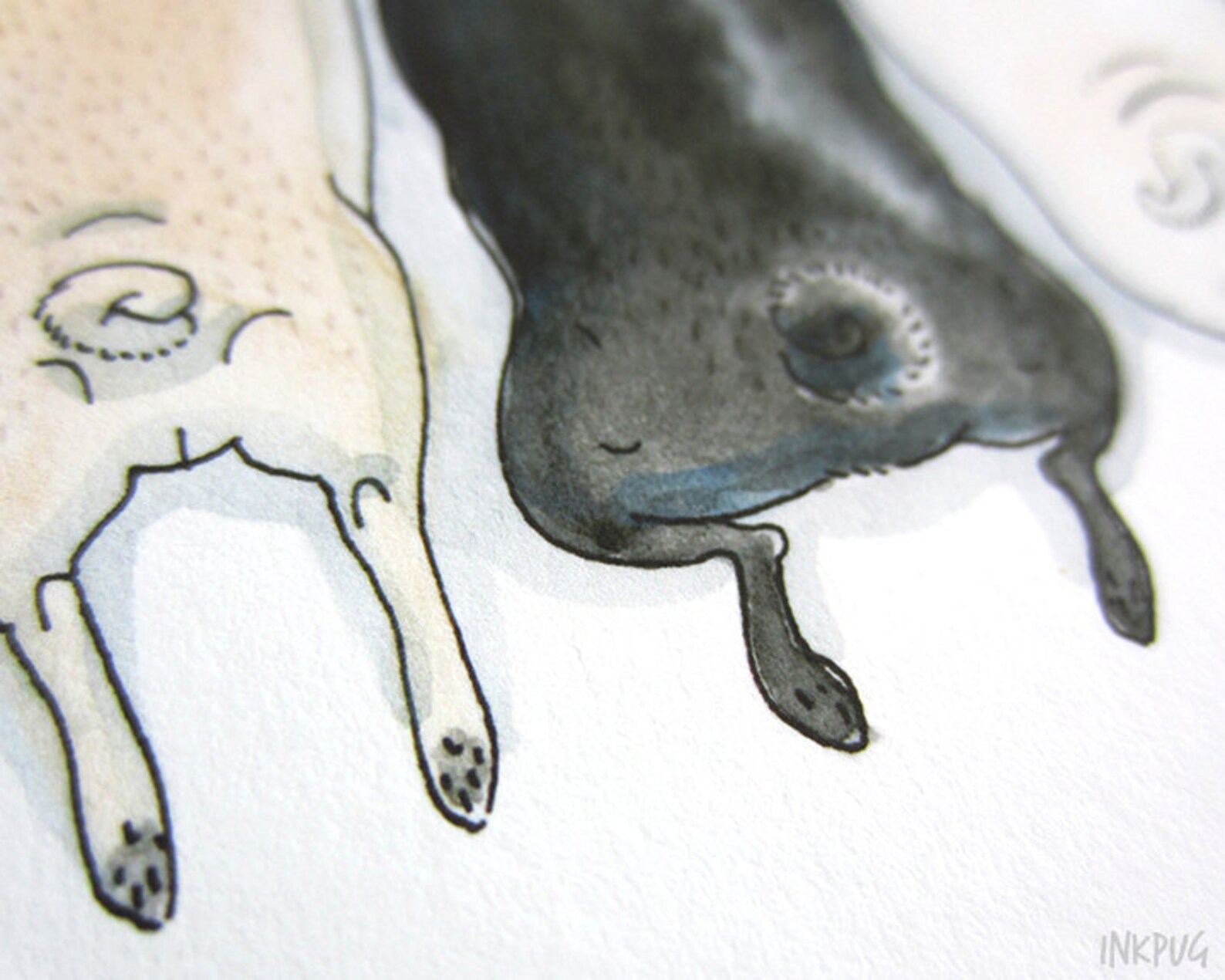 Pug Spectrum Art Print of Our Pug Grumble Ink and Watercolor - Etsy Canada