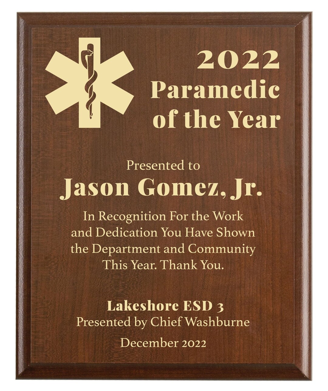 Paramedic of the Year Award Plaque | ESD EMS Emergency Recognition Gift ...