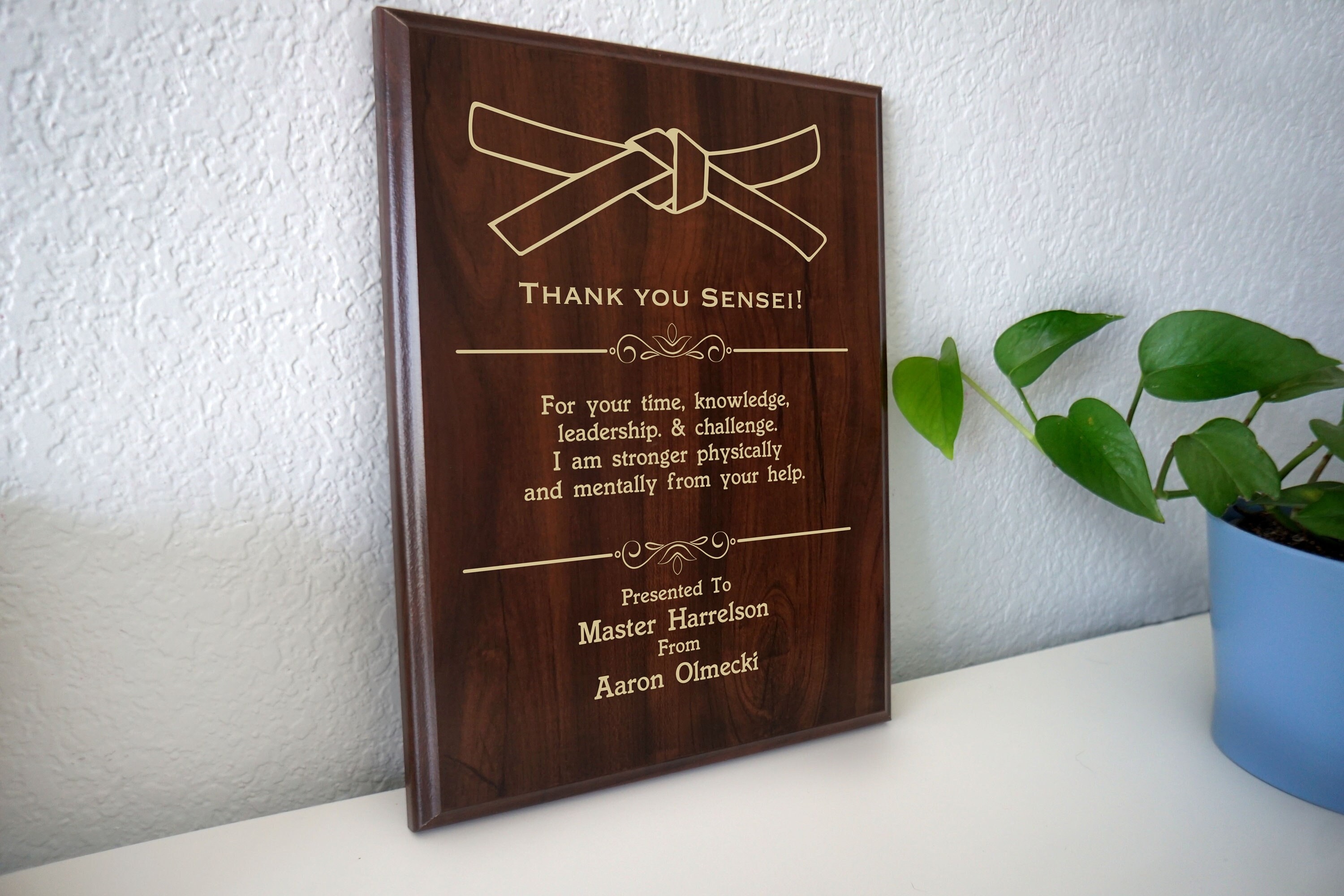 Karate Sensei Thank You Gift | Karate Coach Plaque From a Student or ...
